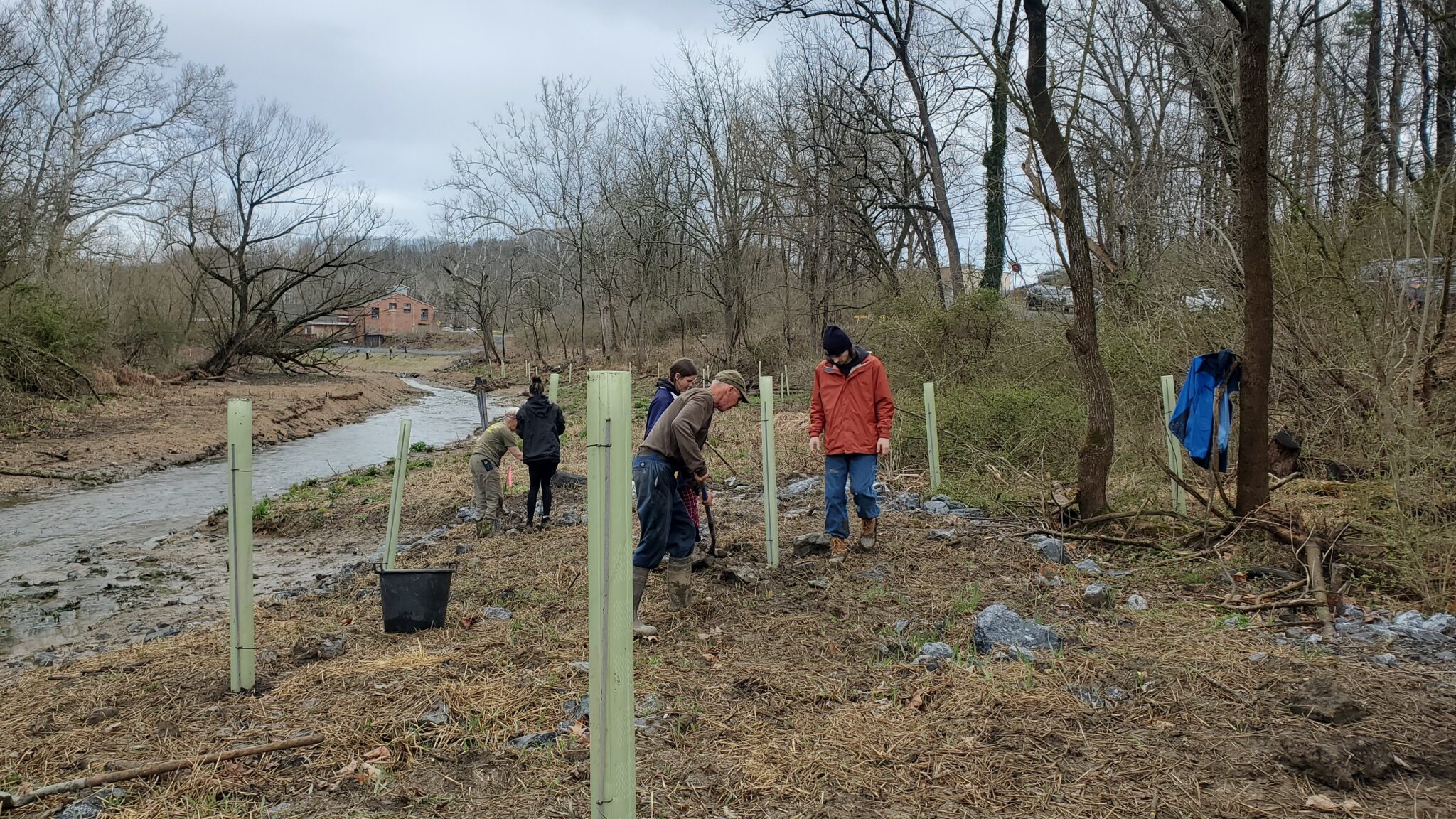 The Art and Fun of Dam Removal: Engagement in Reading