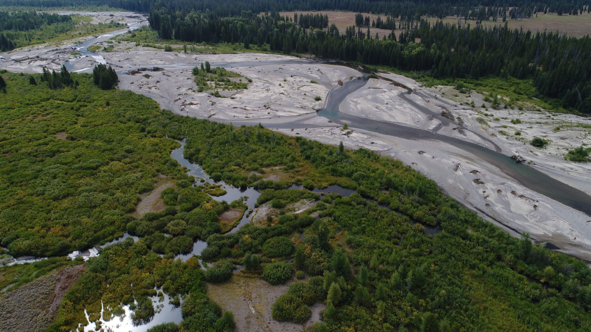 Momentum is Growing for Restoring Freshwater Ecosystems