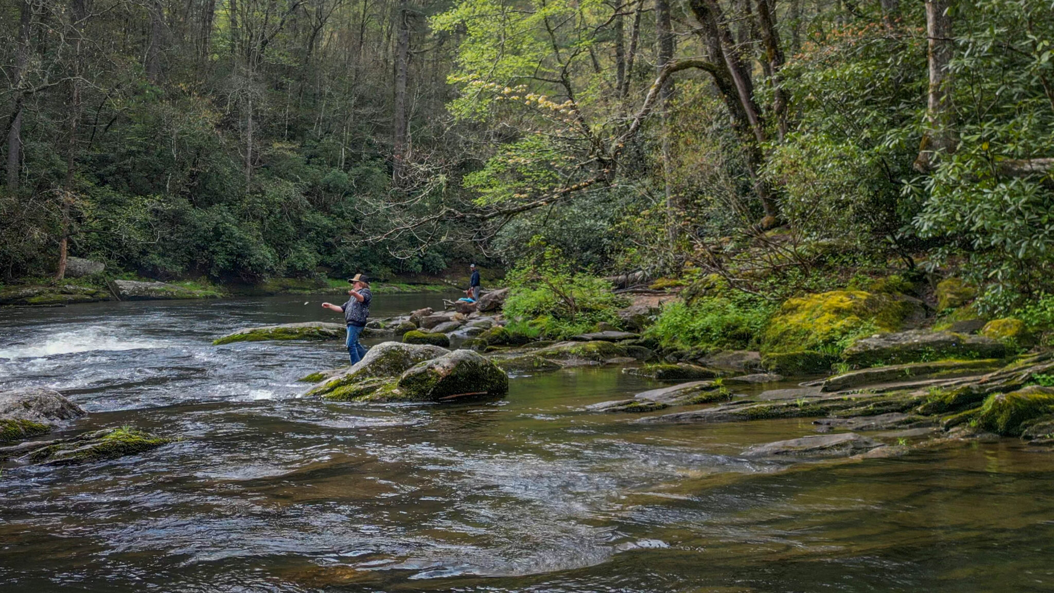 Celebrating the Chattooga's 50th Anniversary as a Wild and Scenic River