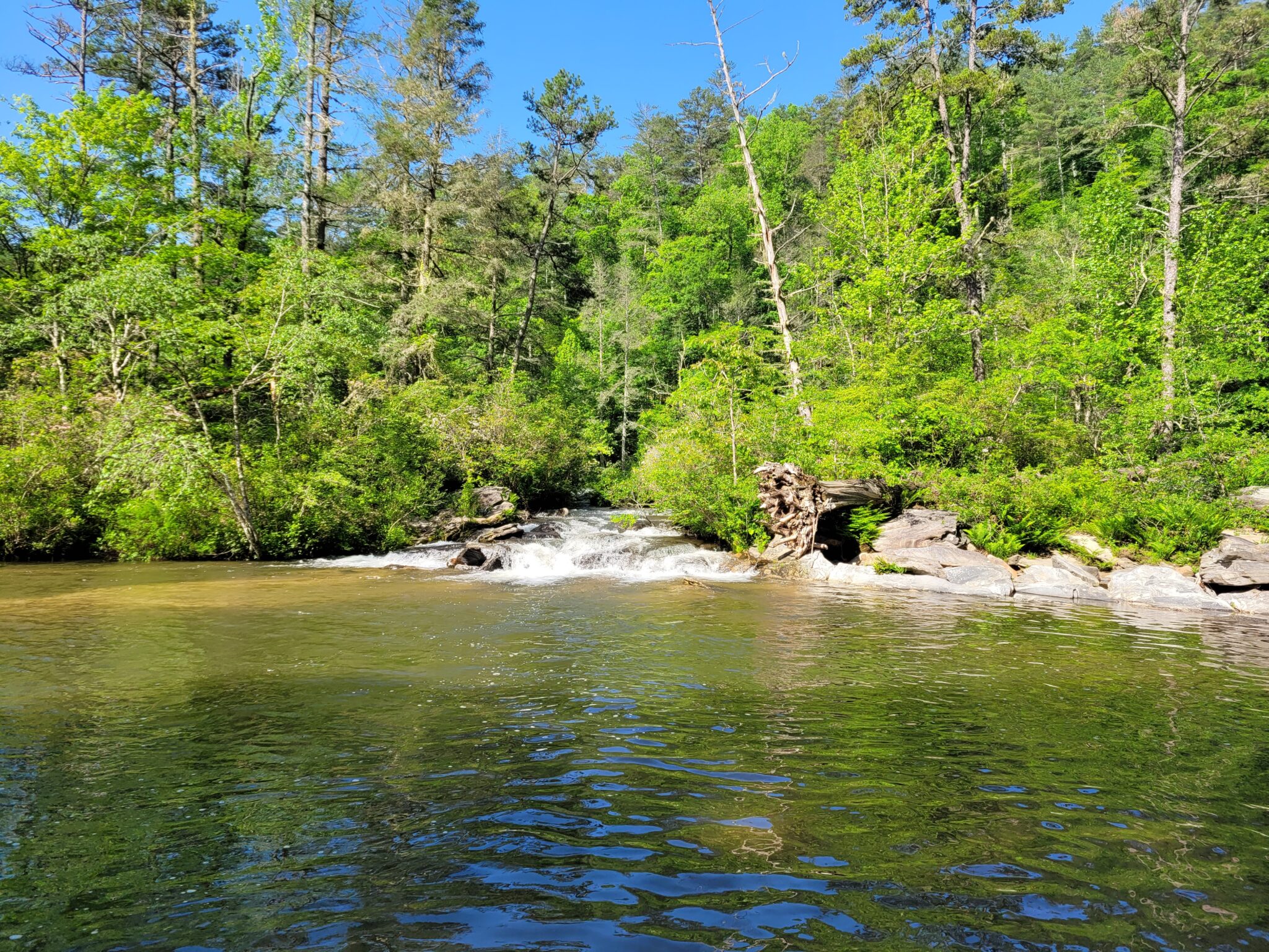 Celebrating the Chattooga's 50th Anniversary as a Wild and Scenic River