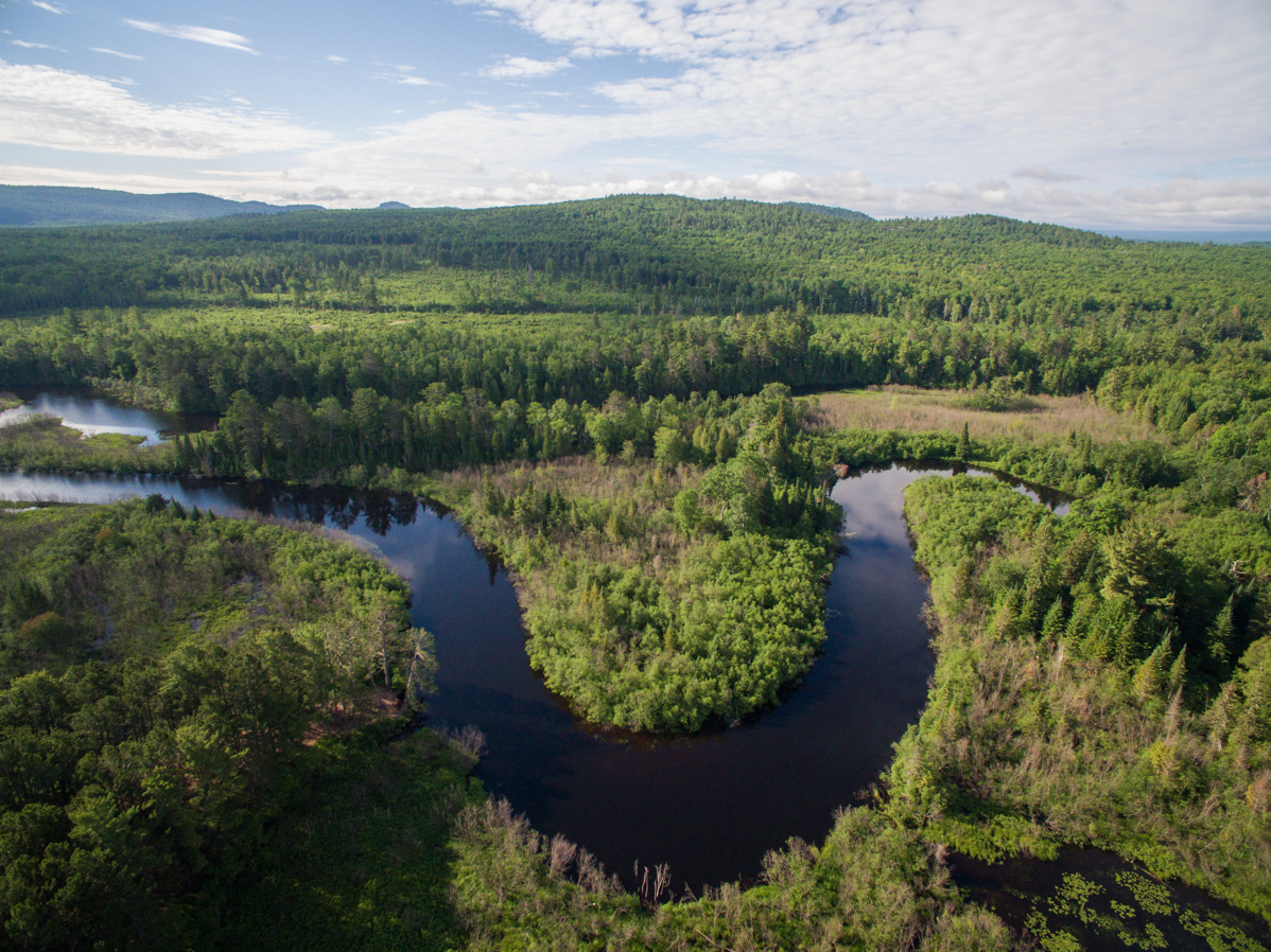 A History of River Protection in Michigan