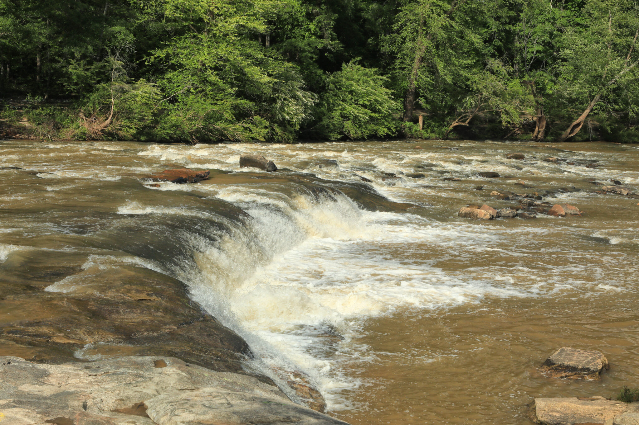 River Trip + Art Project = Amazing