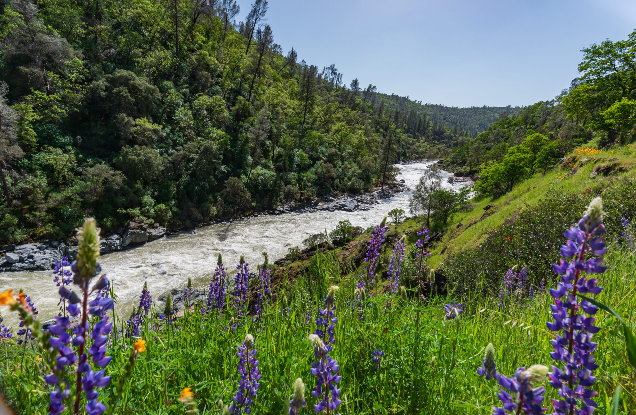 Life Depends on Rivers℠