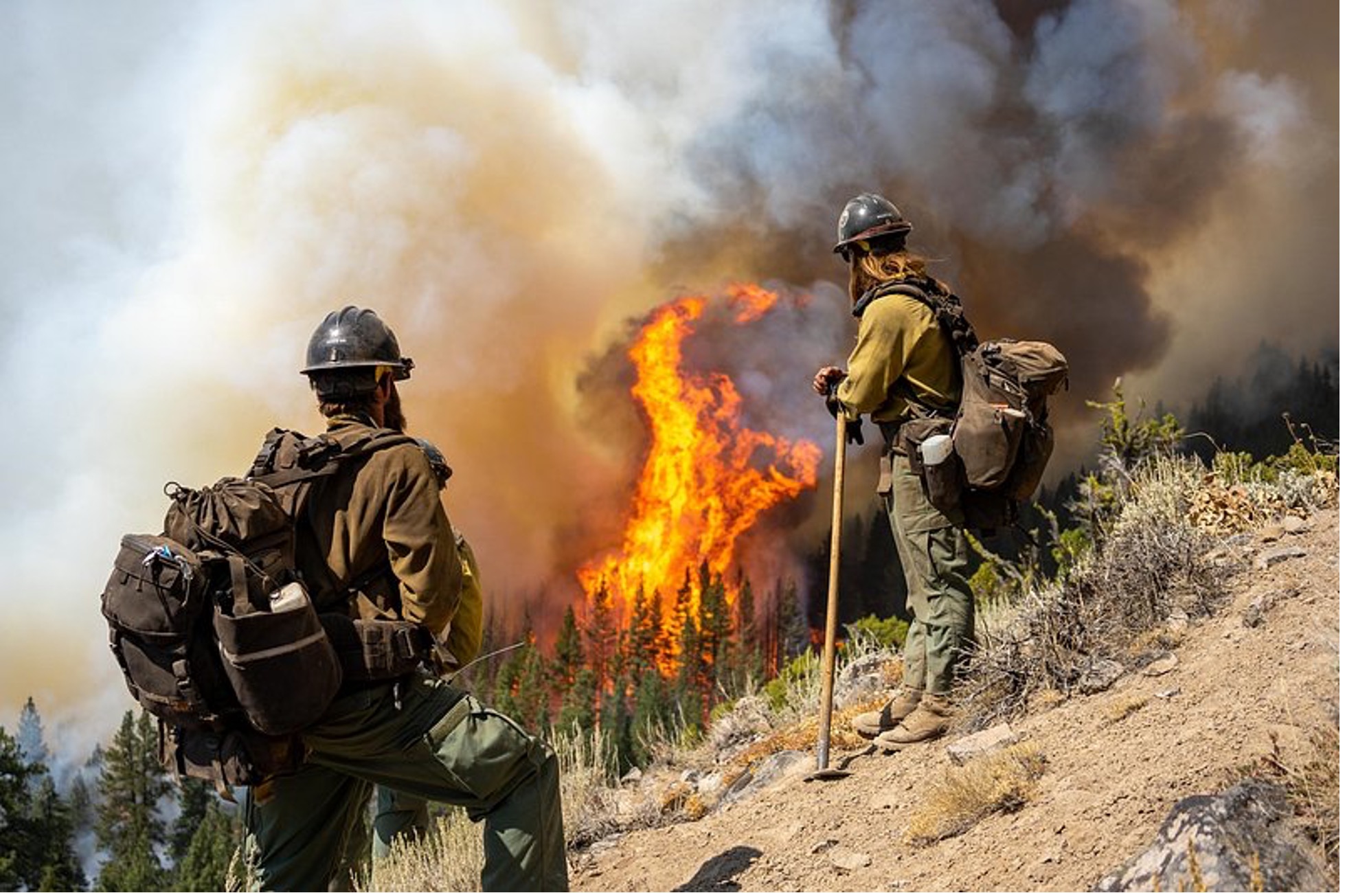 A Look Inside Sierra Nevada Restoration