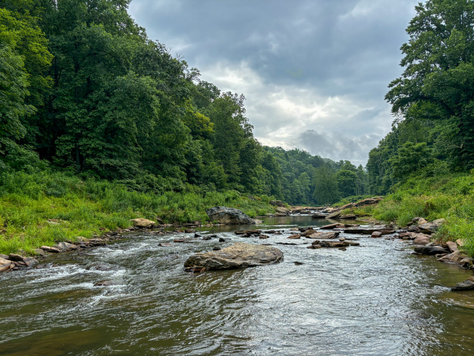 Undamming Hope: A Watauga River Restoration