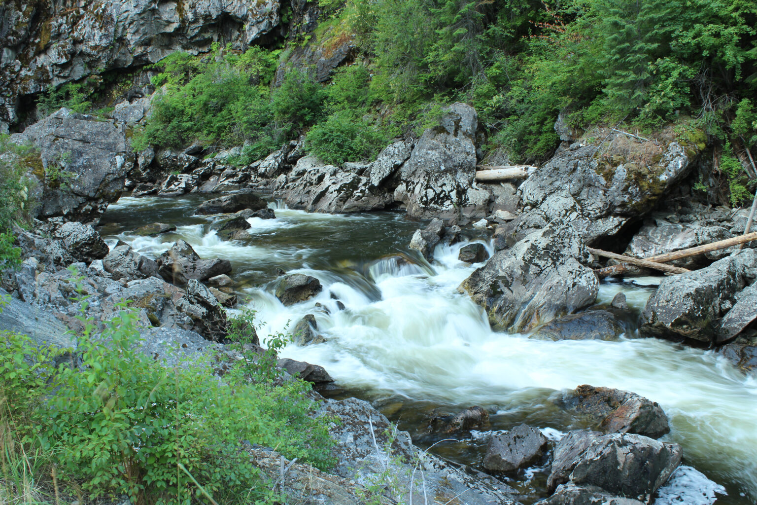 Daylighting Streams: Breathing Life Into Urban Streams And Communities