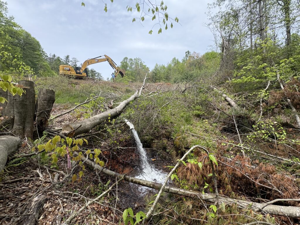 Cranberry Creek Dam Being Removed to Restore Brook Trout Habitat and Improve the Mountains-to ...