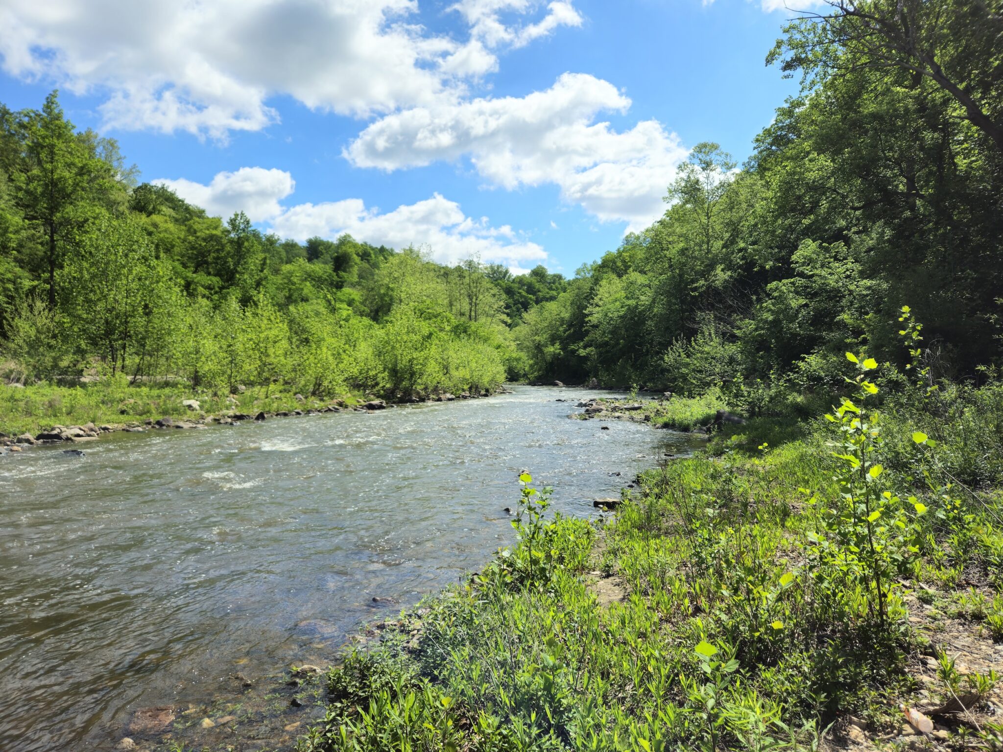 What We’ve Learned from Monitoring the Patapsco River Post-Dam Removal