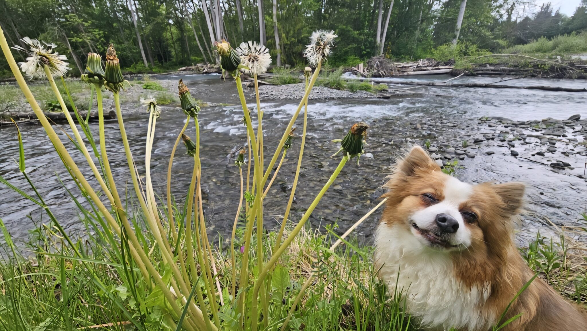 National Rivers Month Photo Showcase of 2025