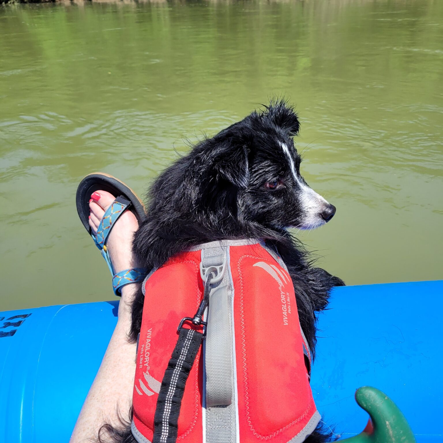 National Rivers Month Photo Showcase of 2025