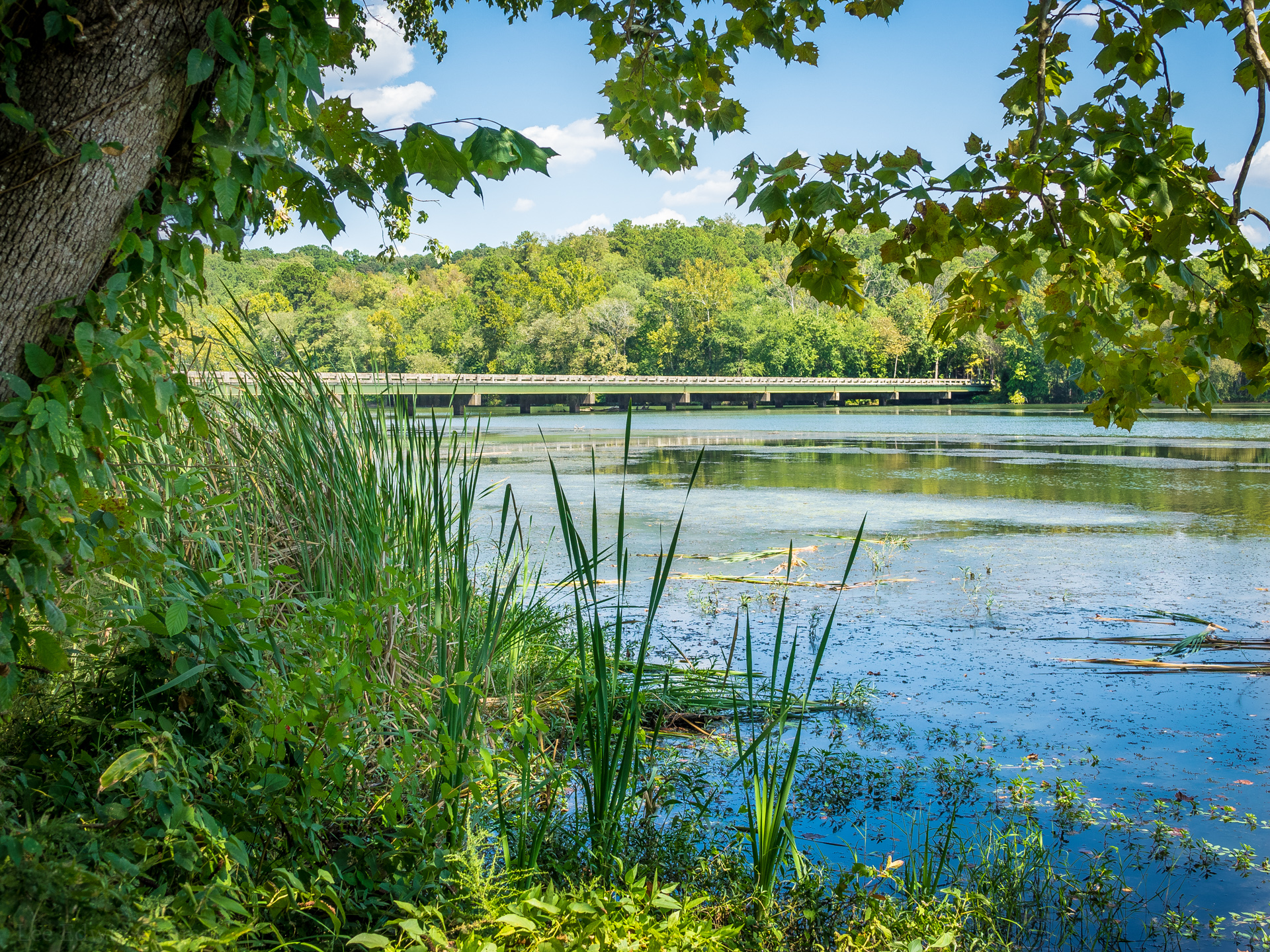 Protecting America's Public Lands and Rivers