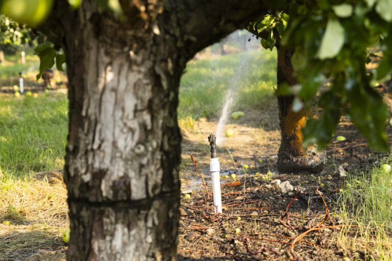 Faces of Drought: A Crisis in the Yakima