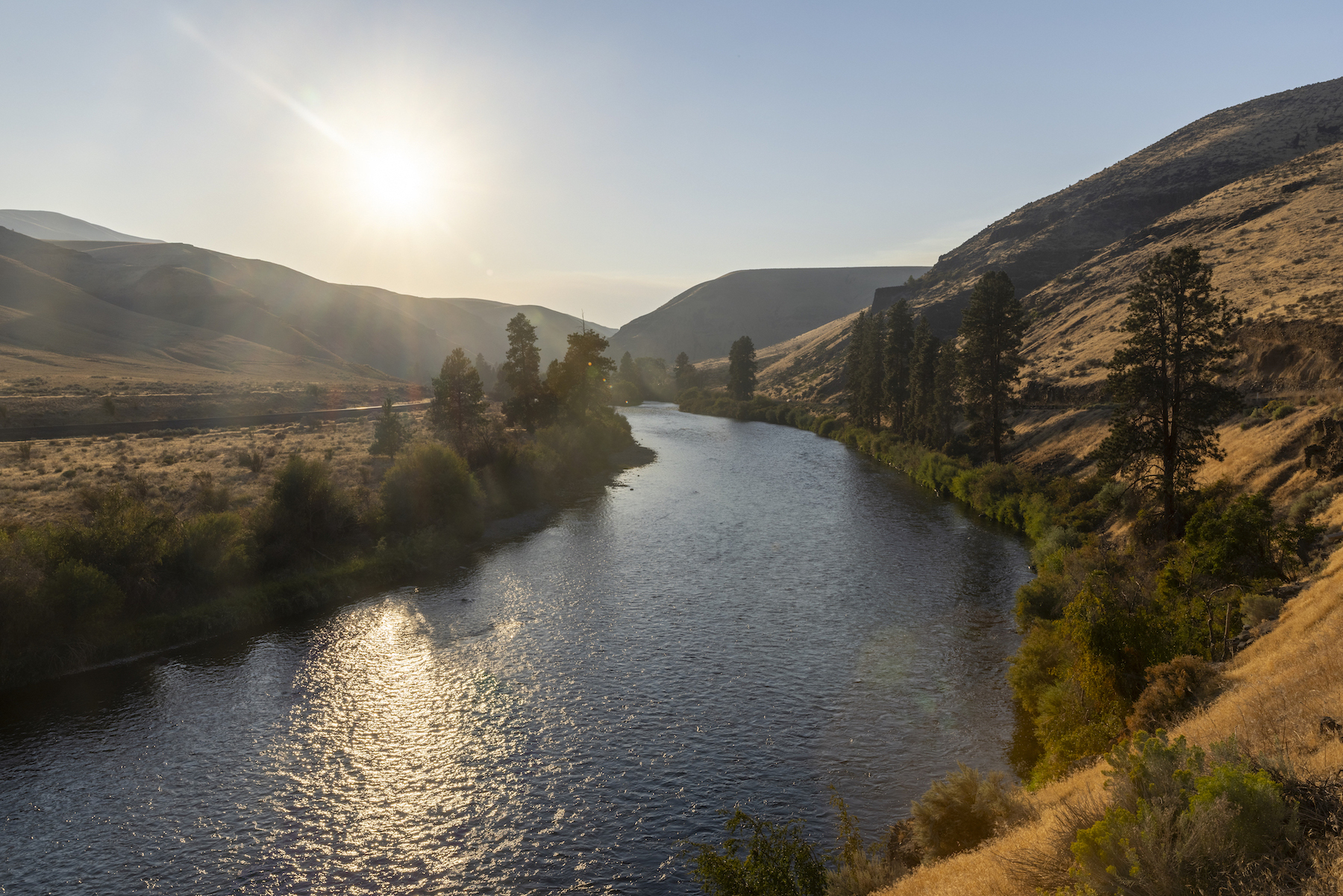 Life Depends on Rivers