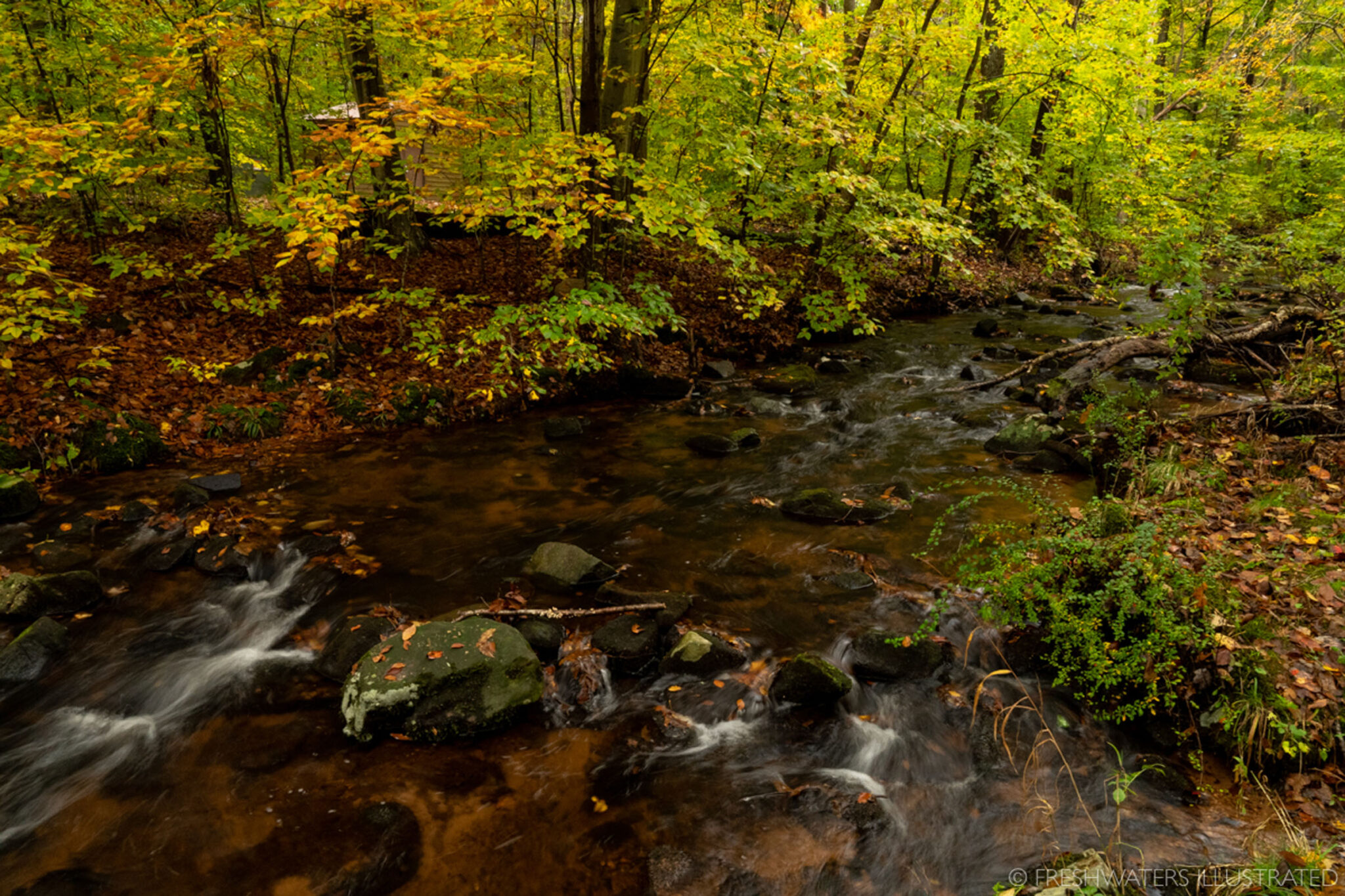 New Report: Protecting Small Streams, Wetlands, and Seasonal Channels ...