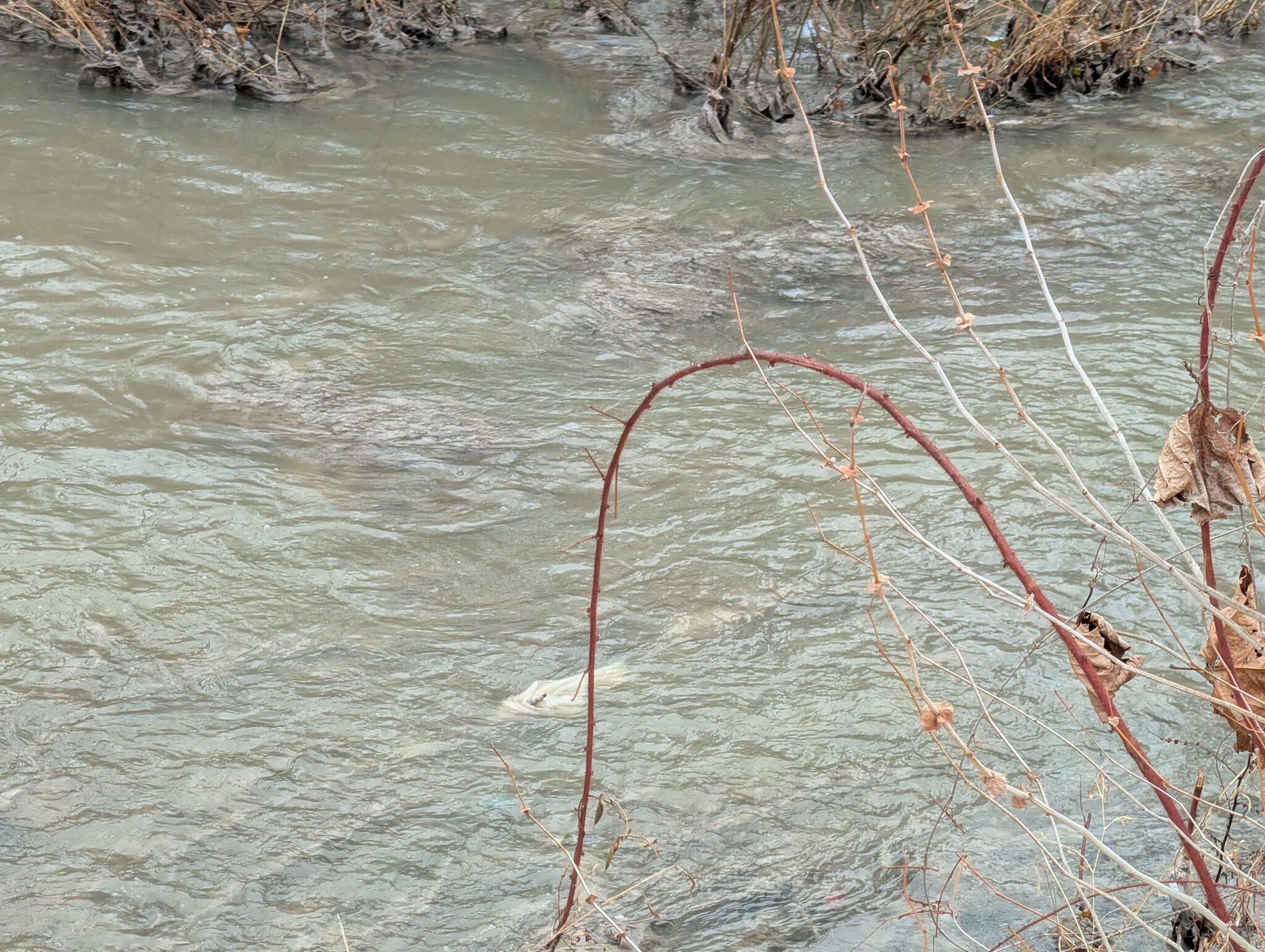 The Catastrophe on the Potomac Is A Stark Warning to Cities Delaying ...