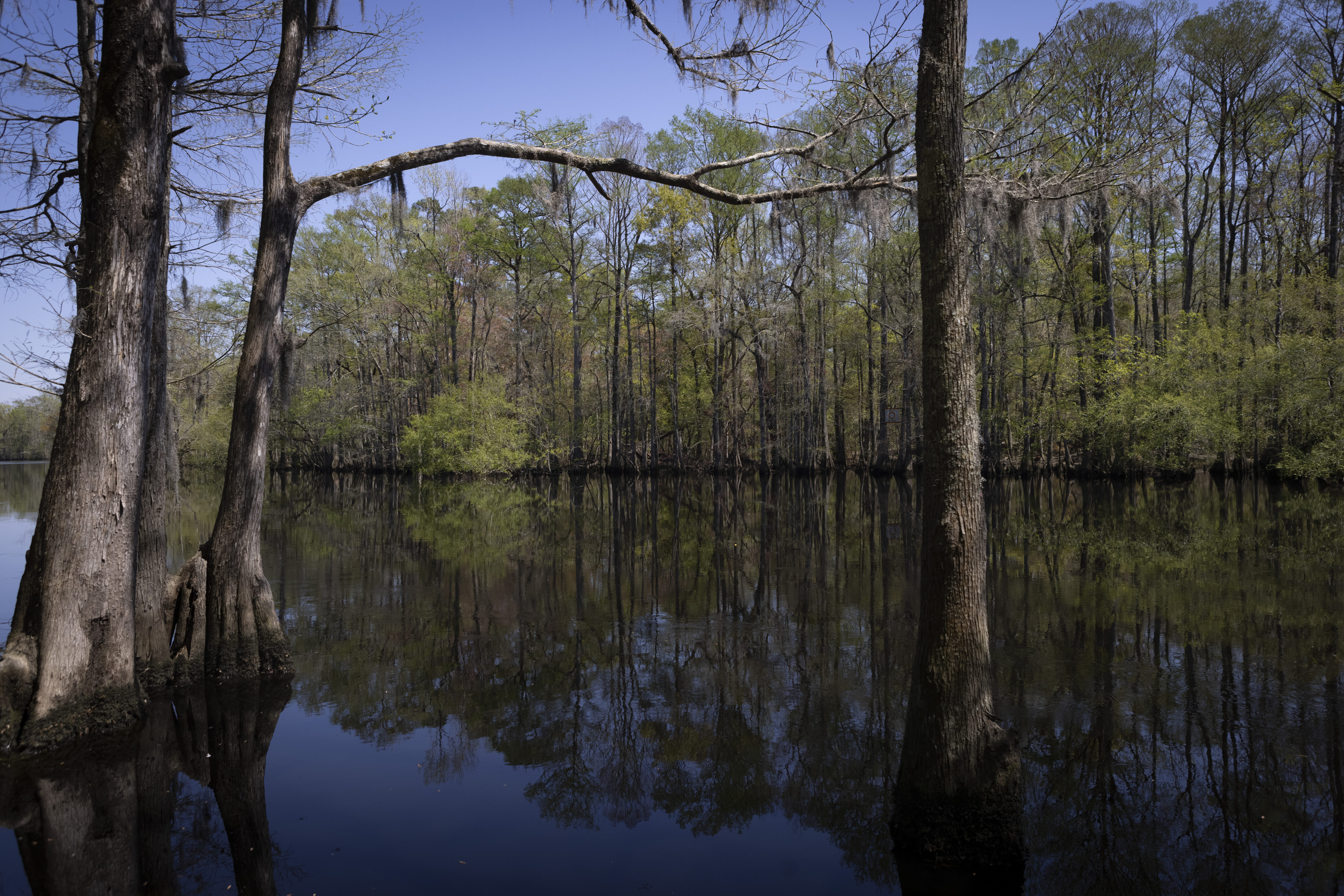 Lumber River